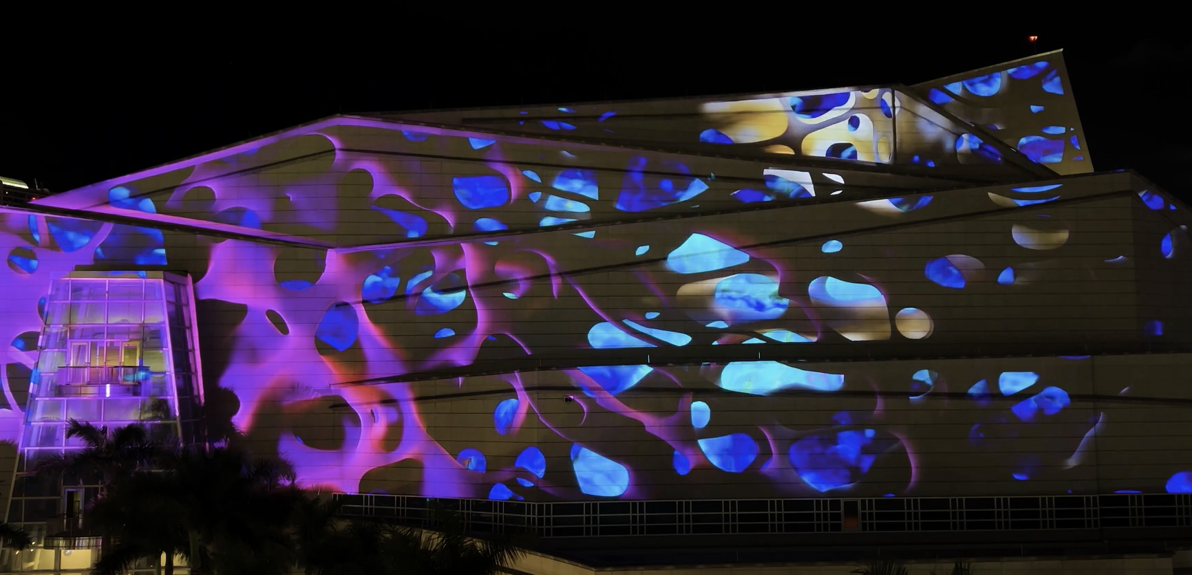 3D Art and Projection Mapping for Coral Morphologic: Projections of a ...
